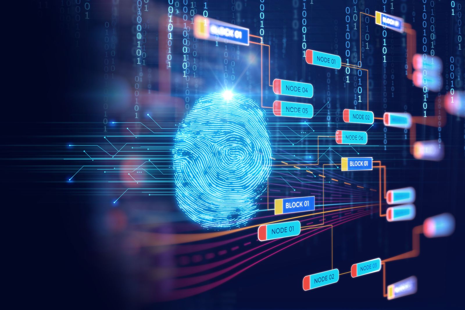 Biometrics FortySeven